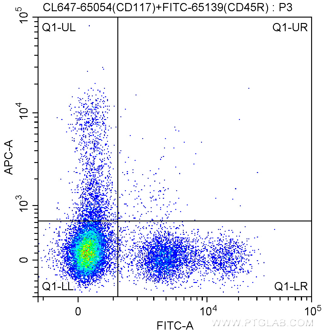 CD117 Antibody CL647-65054 | Proteintech