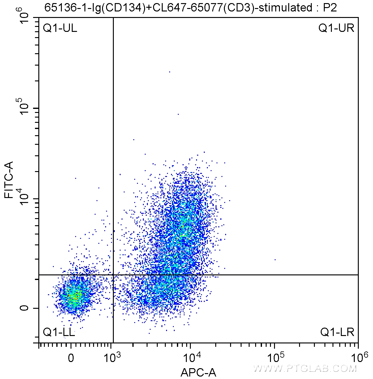 CD134 Antibody 65136-1-Ig | Proteintech