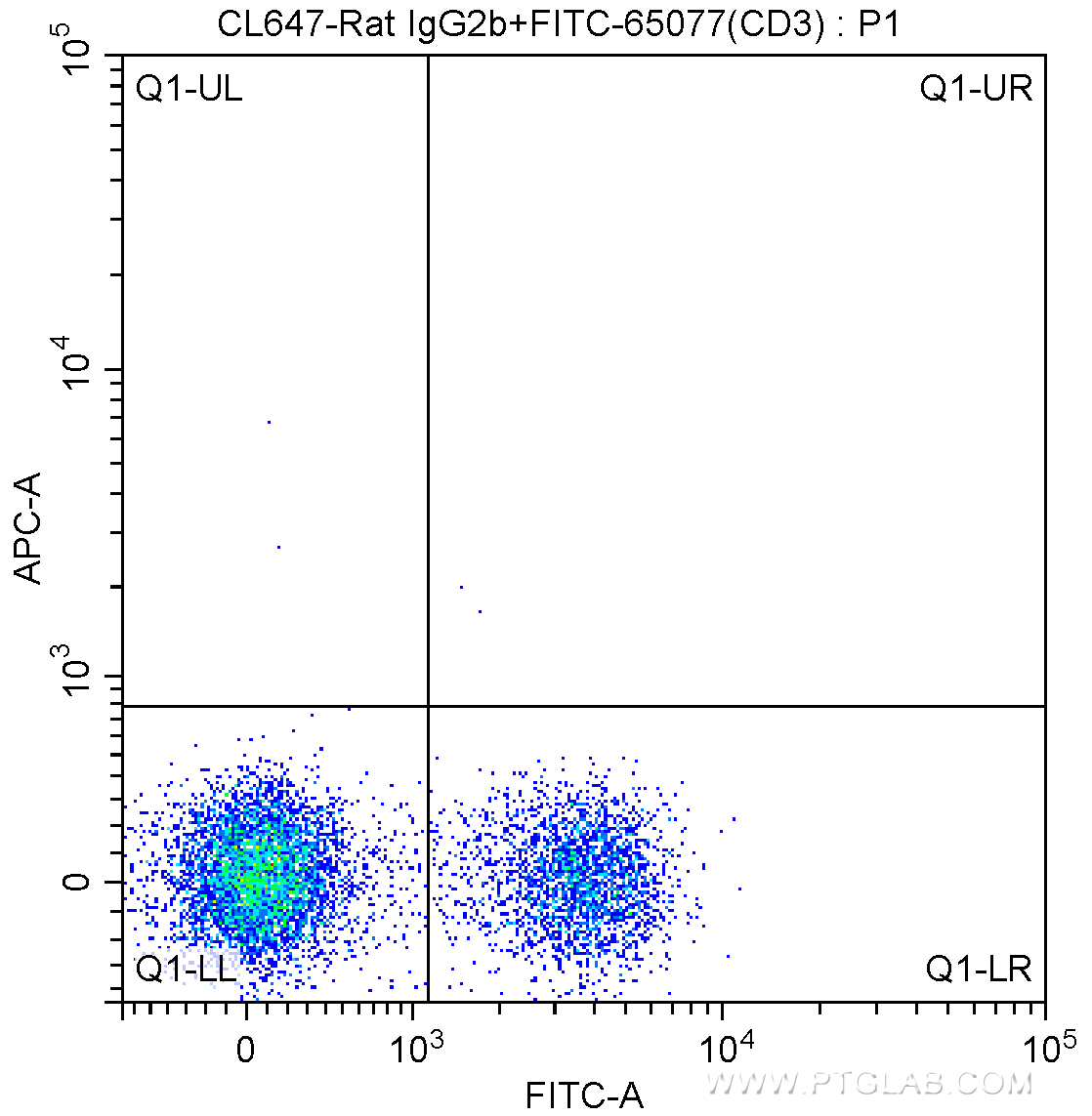 CD16 / CD32 Antibody CL647-65080 | Proteintech