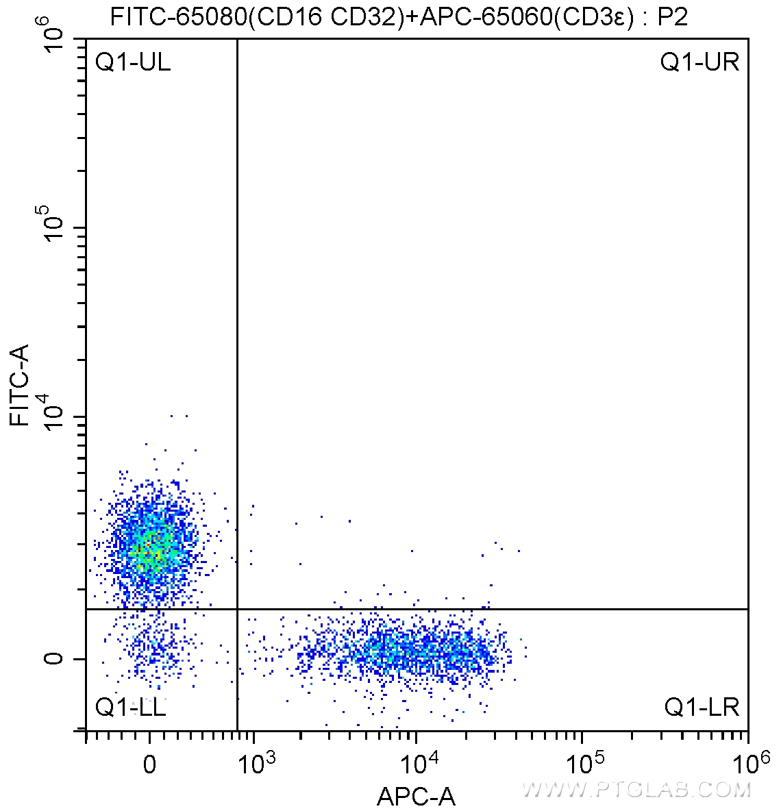 CD16 / CD32 Antibody FITC-65080 | Proteintech
