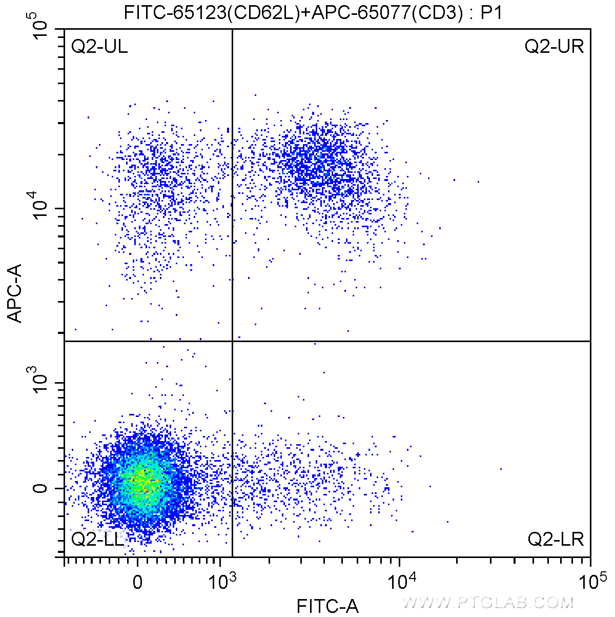 CD62L (L-Selectin) Antibody FITC-65123 | Proteintech
