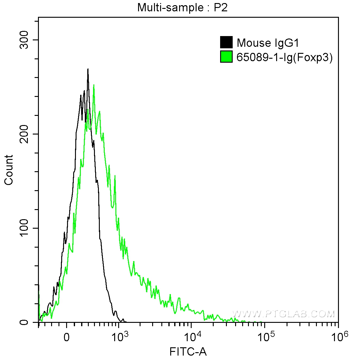 Foxp3 Antibody 65089-1-Ig | Proteintech