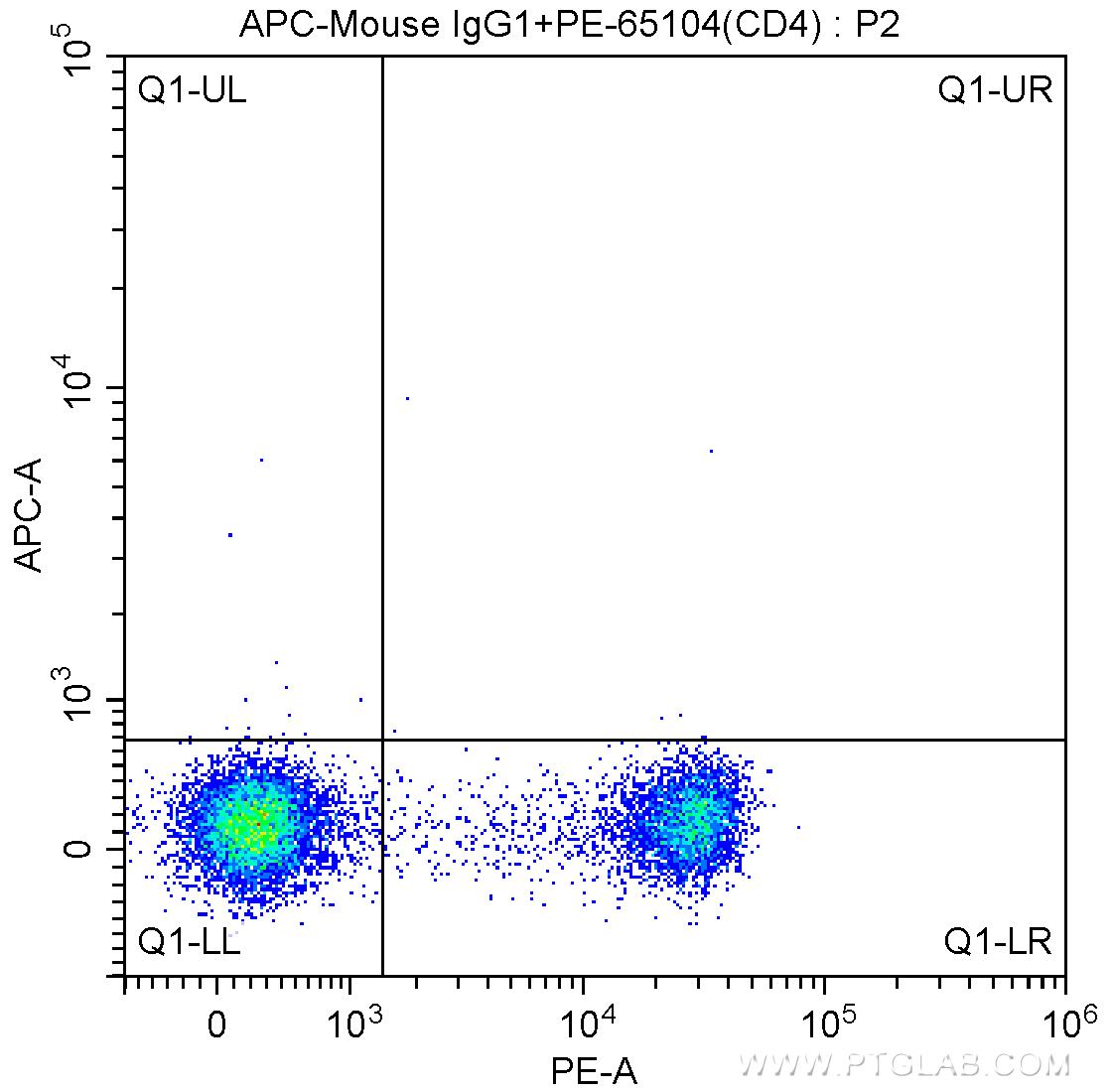 Foxp3 Antibody APC-65089 | Proteintech