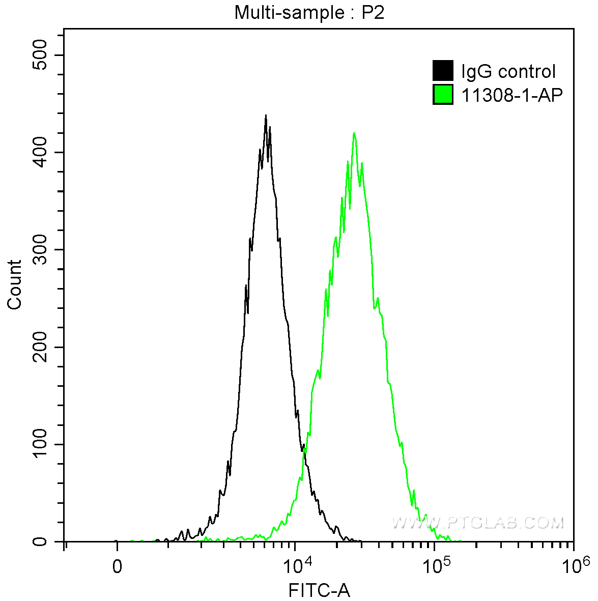 GOLGA2/GM130 Antibody 11308-1-AP | Proteintech