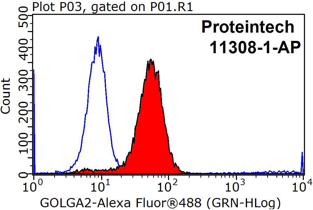 GOLGA2/GM130 Antibody 11308-1-AP | Proteintech