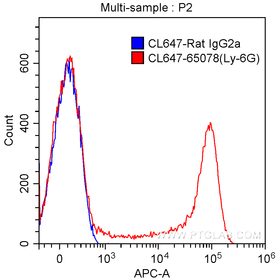 Ly-6G Antibody CL647-65078 | Proteintech