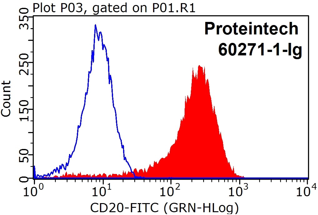 CD20 Antibody 60271-1-Ig | Proteintech