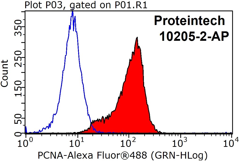 PCNA Antibody 10205-2-AP | Proteintech