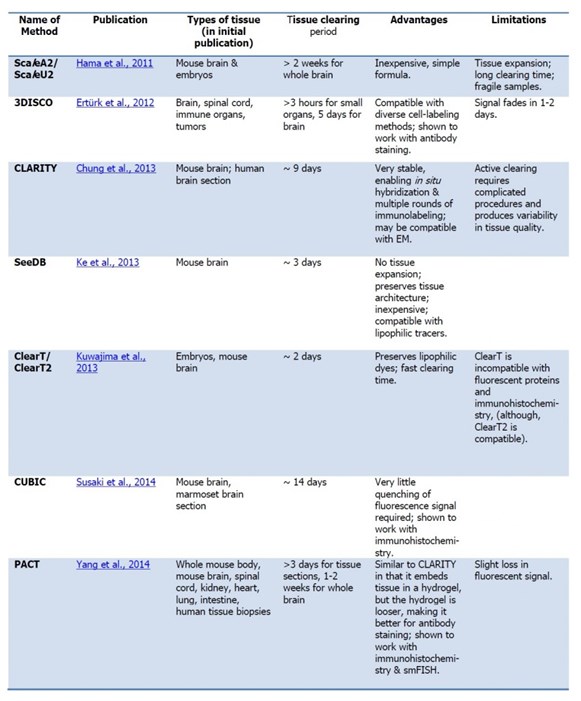 Seeing Clearly: Tips For Staining Cleared Tissue With Antibodies ...