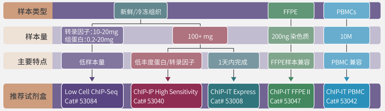 ChIP试剂盒 | Proteintech Group | 武汉三鹰生物技术有限公司