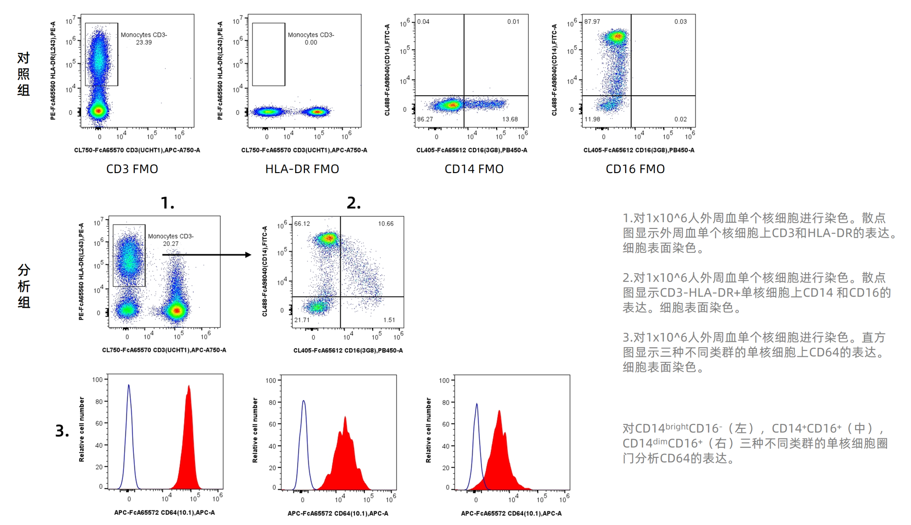 FcZero-rAb™人单核细胞染色方案 | Proteintech Group | 武汉三鹰生物技术有限公司