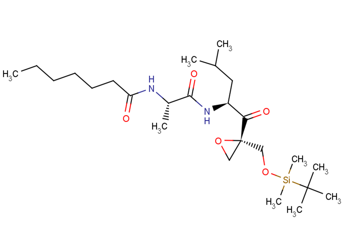 UK-101 | Proteintech | 武汉三鹰生物技术有限公司
