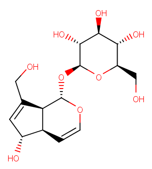 Aucubin | Proteintech | 武汉三鹰生物技术有限公司