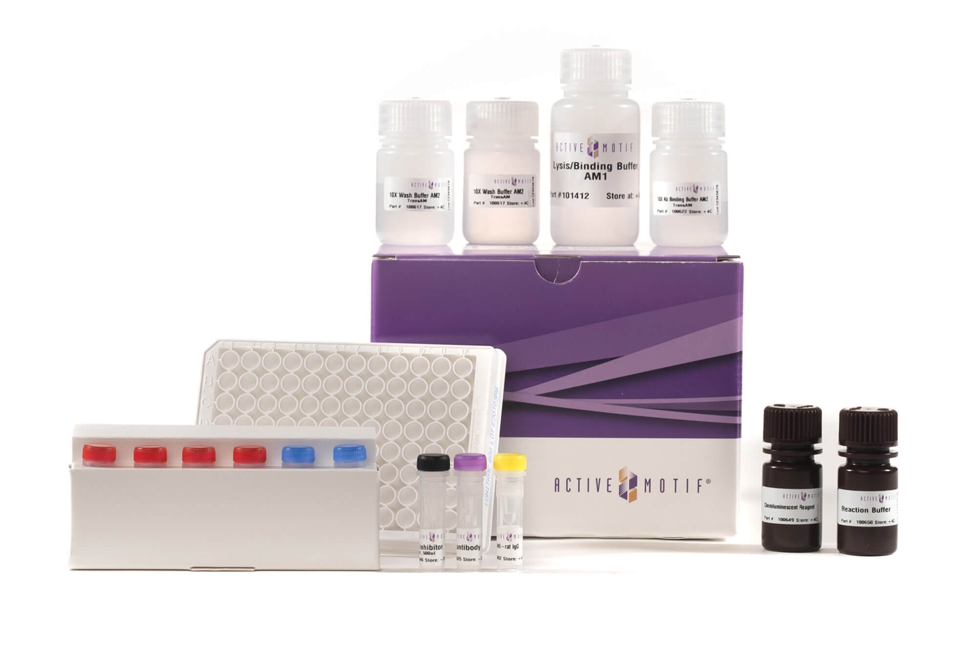 Ras GTPase Chemi ELISA Kit | Proteintech | 武汉三鹰生物技术有限公司