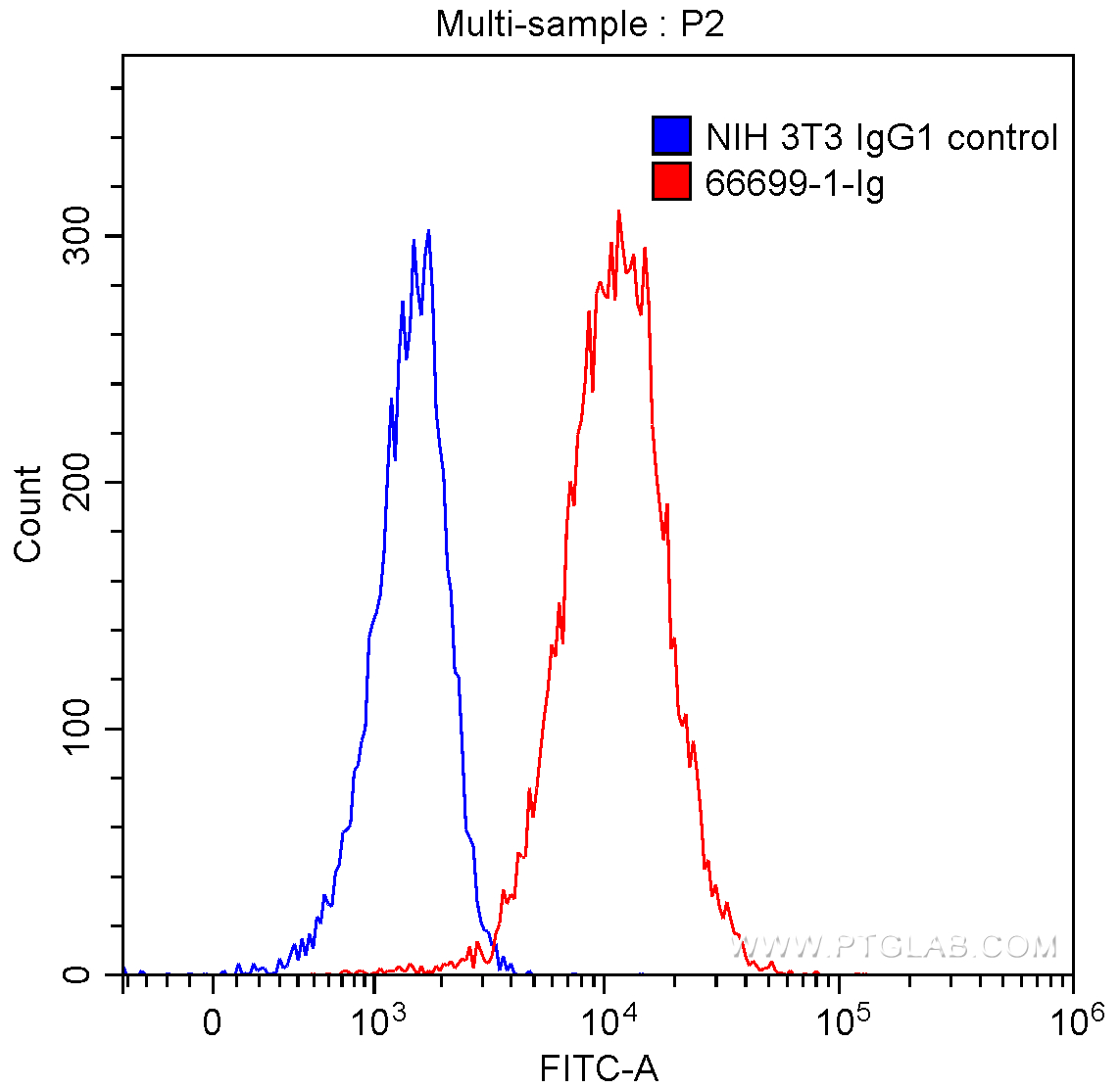 ACE2 Antibody 66699-1-Ig | Proteintech
