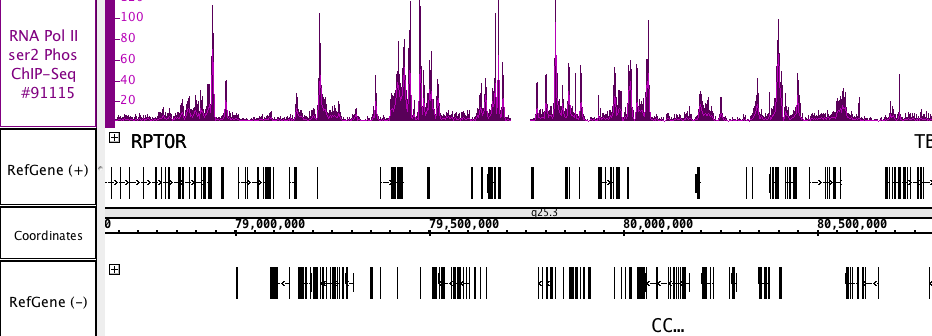 AbFlex RNA pol II CTD phospho Ser2 antibody (rAb) | Proteintech | 武汉三鹰 ...