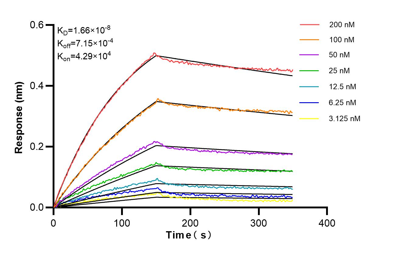 Ly-6A/E (Sca-1) antibody (87403-1-RR) | Proteintech | 武汉三鹰生物技术有限公司