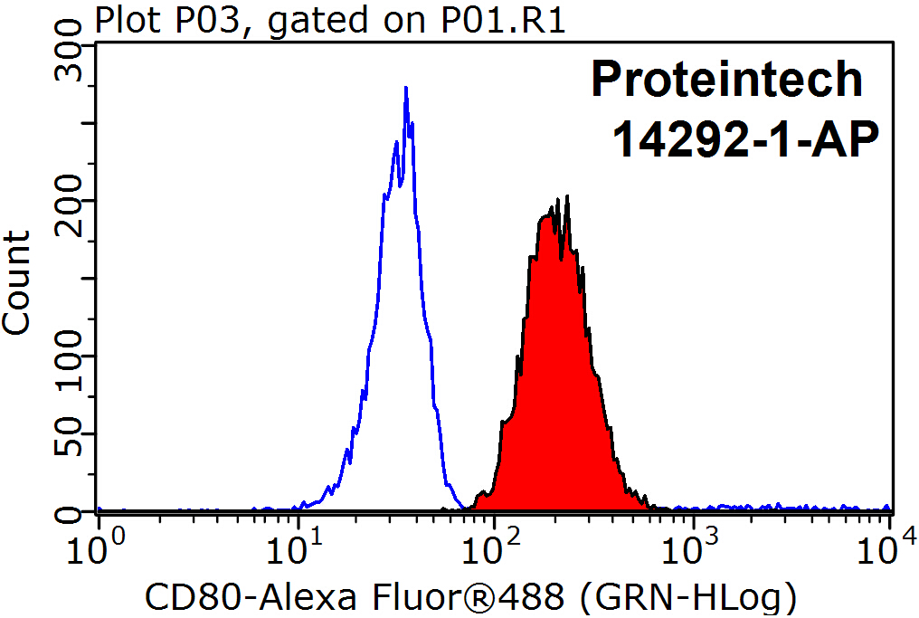 CD80/B7-1 antibody (14292-1-AP) | Proteintech | 武汉三鹰生物技术有限公司