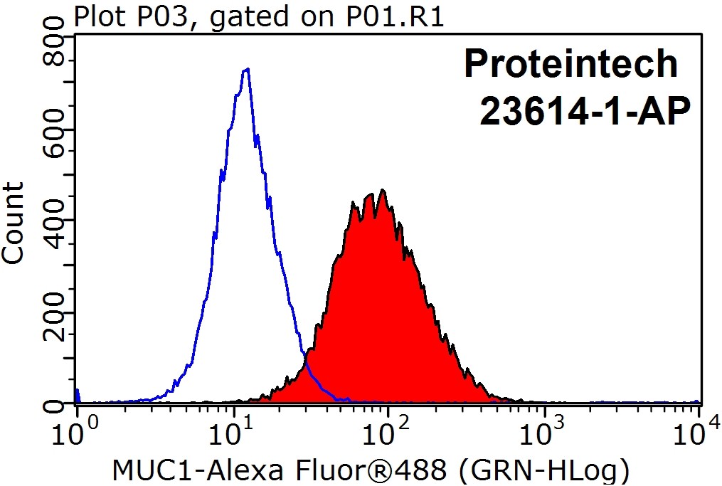 MUC1/CA15-3 C-terminal antibody (23614-1-AP) | Proteintech