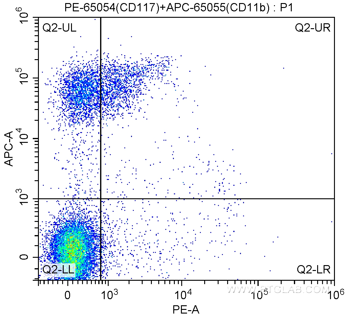 CD117 Antibody PE-65054 | Proteintech