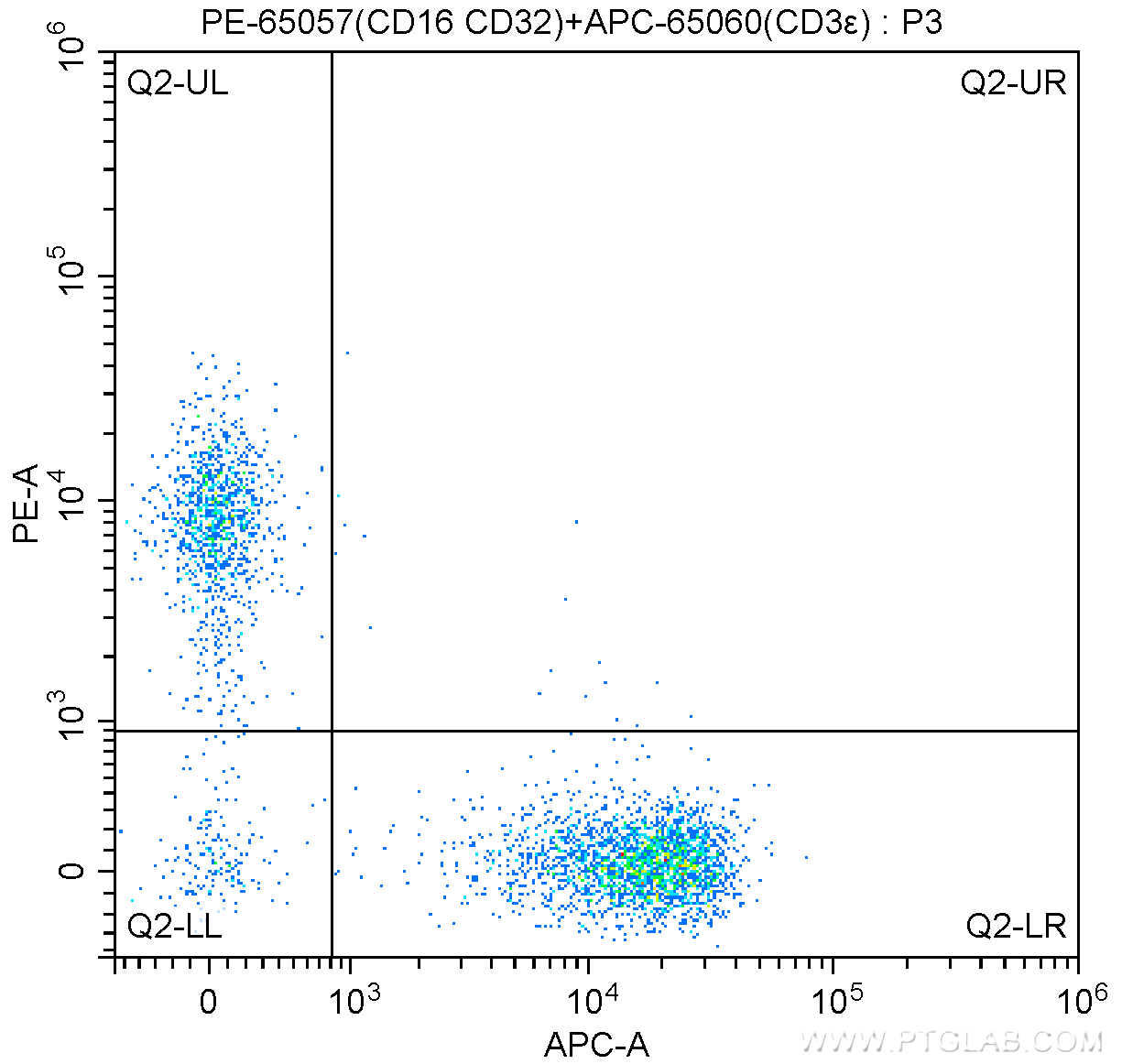 CD16/32 antibody (PE-65057) | Proteintech | 武汉三鹰生物技术有限公司