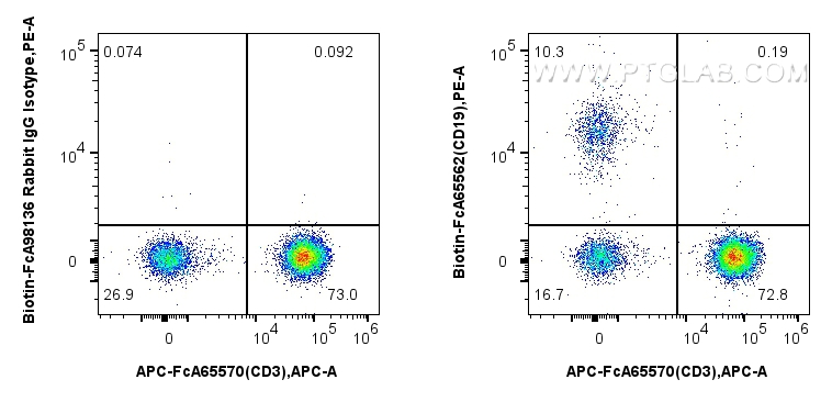 CD19 antibody (Biotin-FcA65562) | Proteintech | 武汉三鹰生物技术有限公司