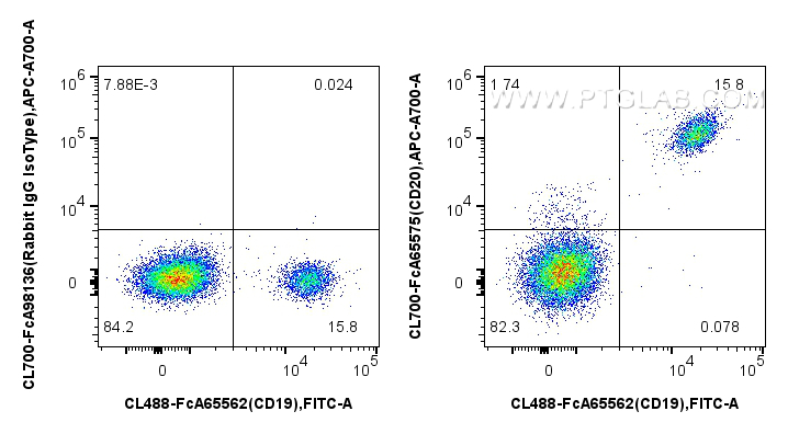 CD20 antibody (CL700-FcA65575) | Proteintech | 武汉三鹰生物技术有限公司