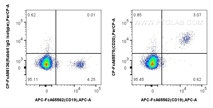 CD20 antibody (CP-FcA65575) | Proteintech | 武汉三鹰生物技术有限公司