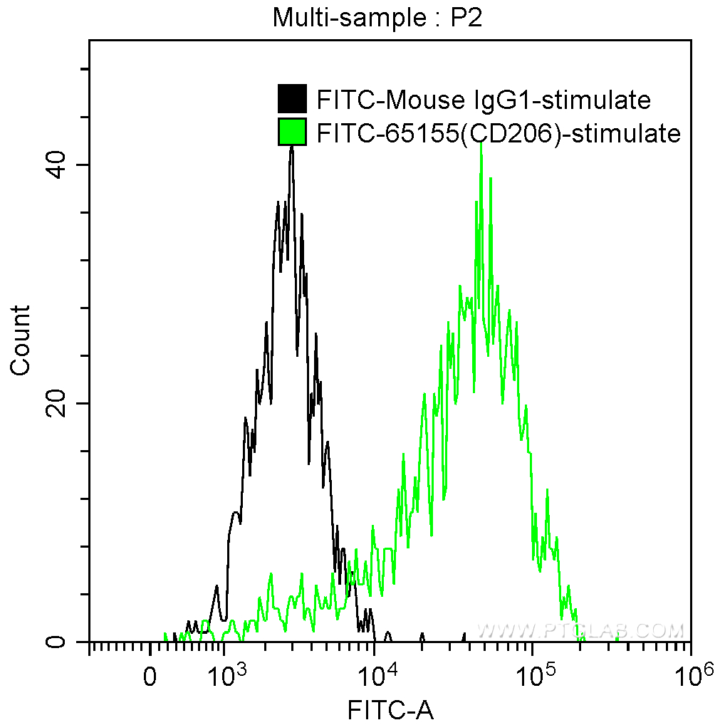 CD206 antibody (FITC-65155) | Proteintech | 武汉三鹰生物技术有限公司