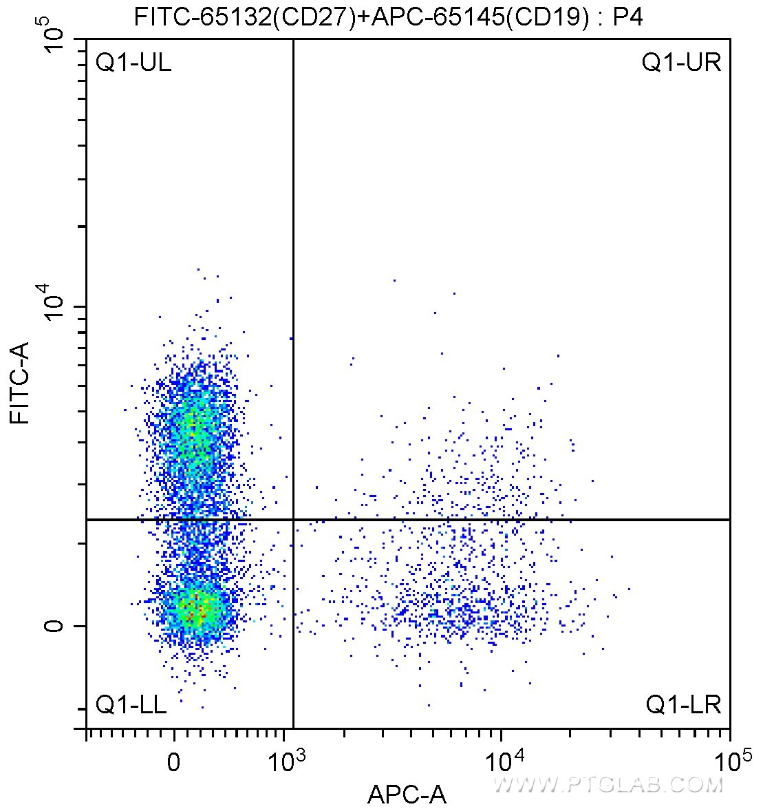 CD27 Antibody FITC-65132 | Proteintech
