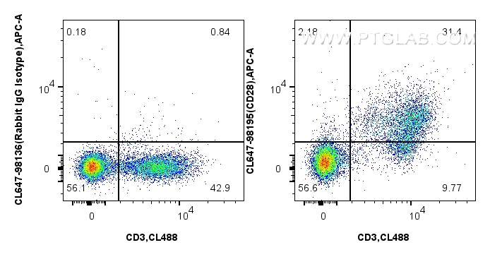 CD28 antibody (CL647-98195) | Proteintech | 武汉三鹰生物技术有限公司