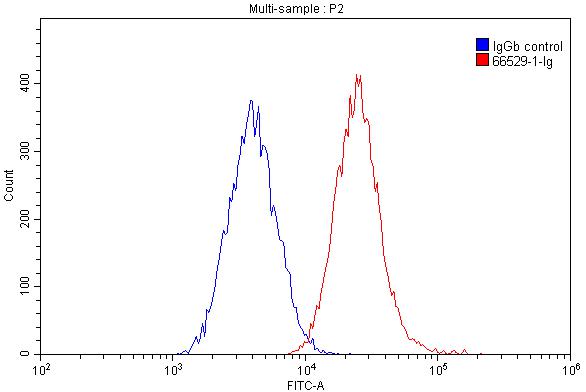 FCGR2A / CD32a Antibody 66529-1-Ig | Proteintech