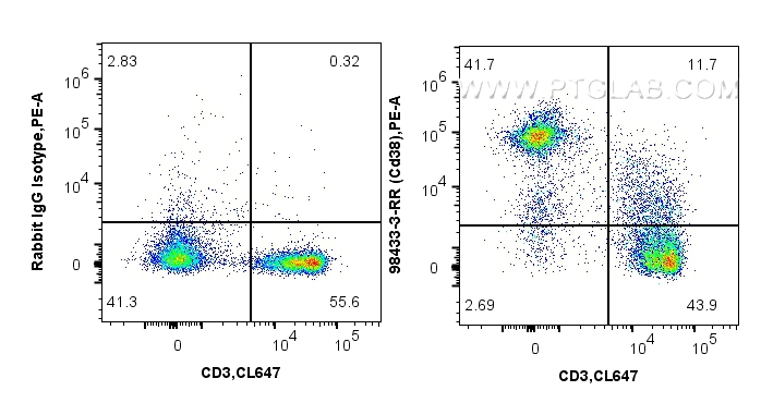 CD38 antibody (98433-3-RR) | Proteintech | 武汉三鹰生物技术有限公司