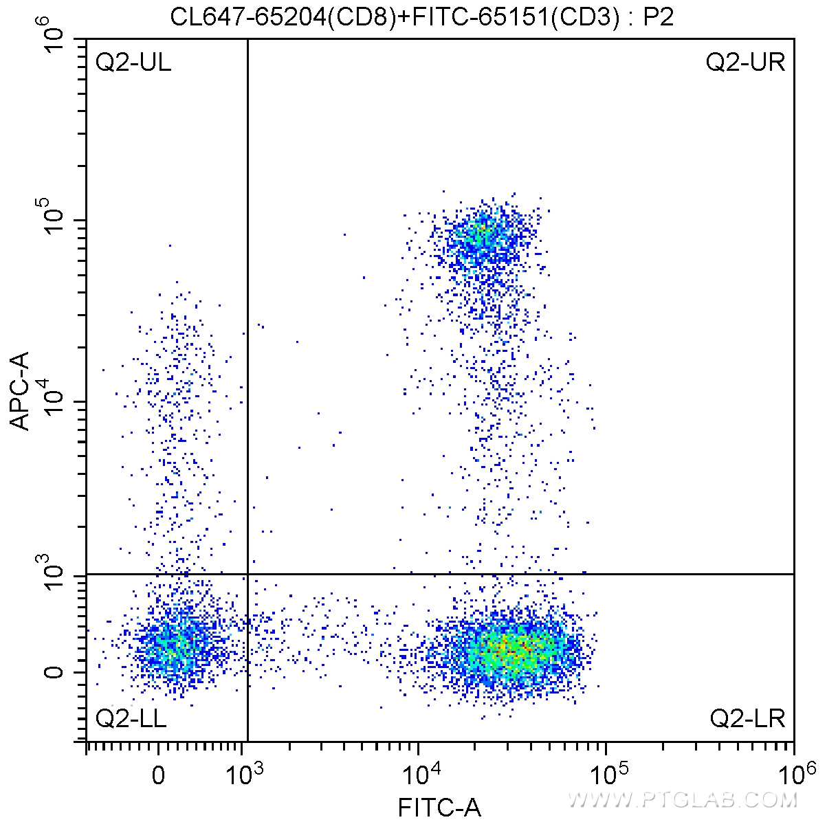 CD8 Antibody CL647-65204 | Proteintech
