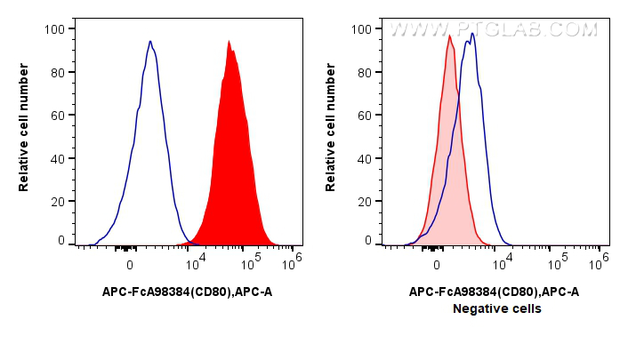CD80 antibody (APC-FcA98384) | Proteintech | 武汉三鹰生物技术有限公司