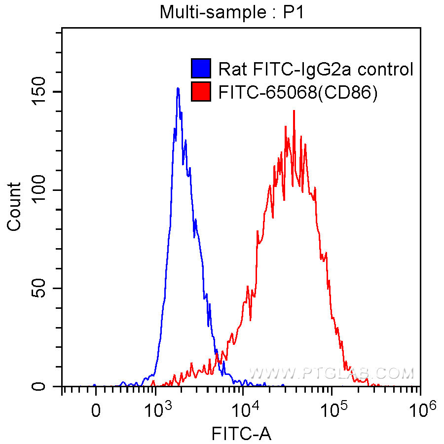 CD86 antibody (FITC-65068) | Proteintech