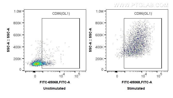 CD86 antibody (FITC-65068) | Proteintech | 武汉三鹰生物技术有限公司
