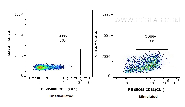CD86 antibody (PE-65068) | Proteintech | 武汉三鹰生物技术有限公司