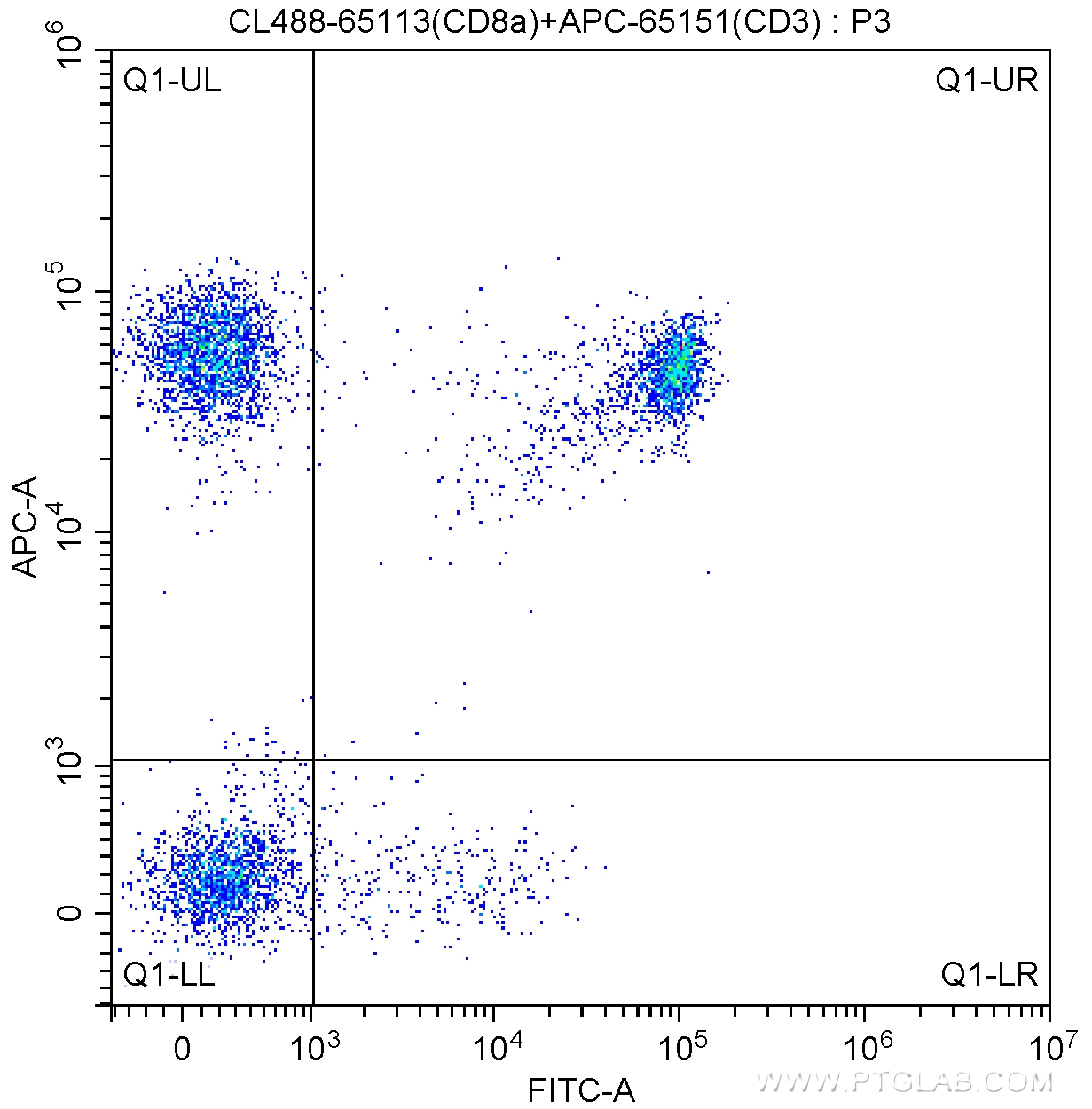 CD8a Antibody CL488-65113 | Proteintech