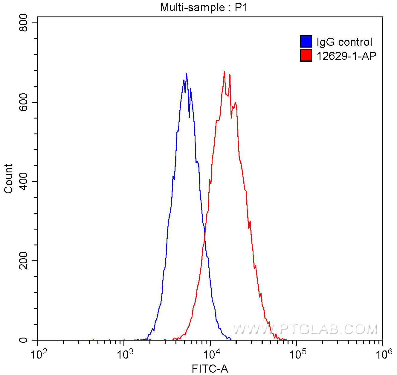 Calmegin antibody (12629-1-AP) | Proteintech | 武汉三鹰生物技术有限公司