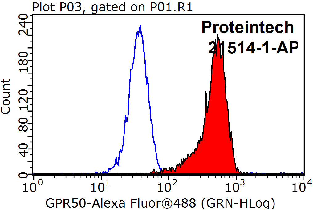 GPR50 antibody (21514-1-AP) | Proteintech | 武汉三鹰生物技术有限公司