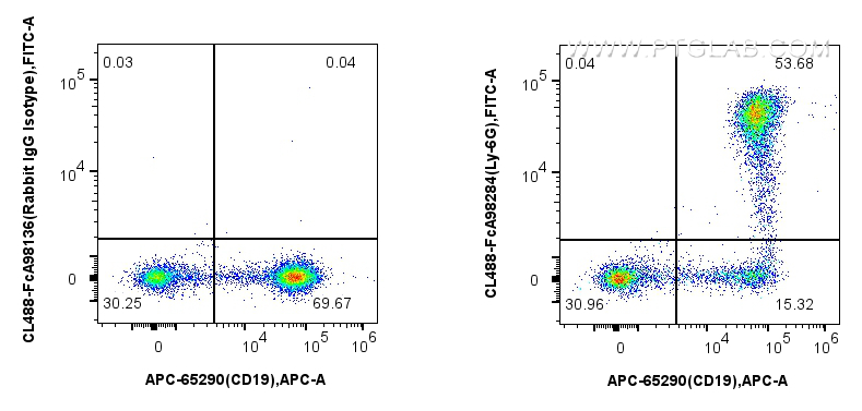 Ly-6G antibody (CL488-FcA98284) | Proteintech | 武汉三鹰生物技术有限公司