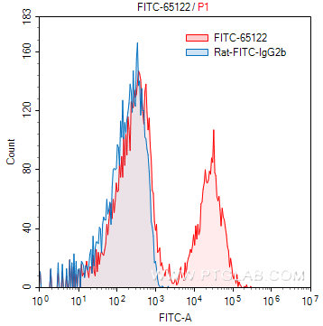 MHC Class II (I-A/I-E) Antibody FITC-65122 | Proteintech
