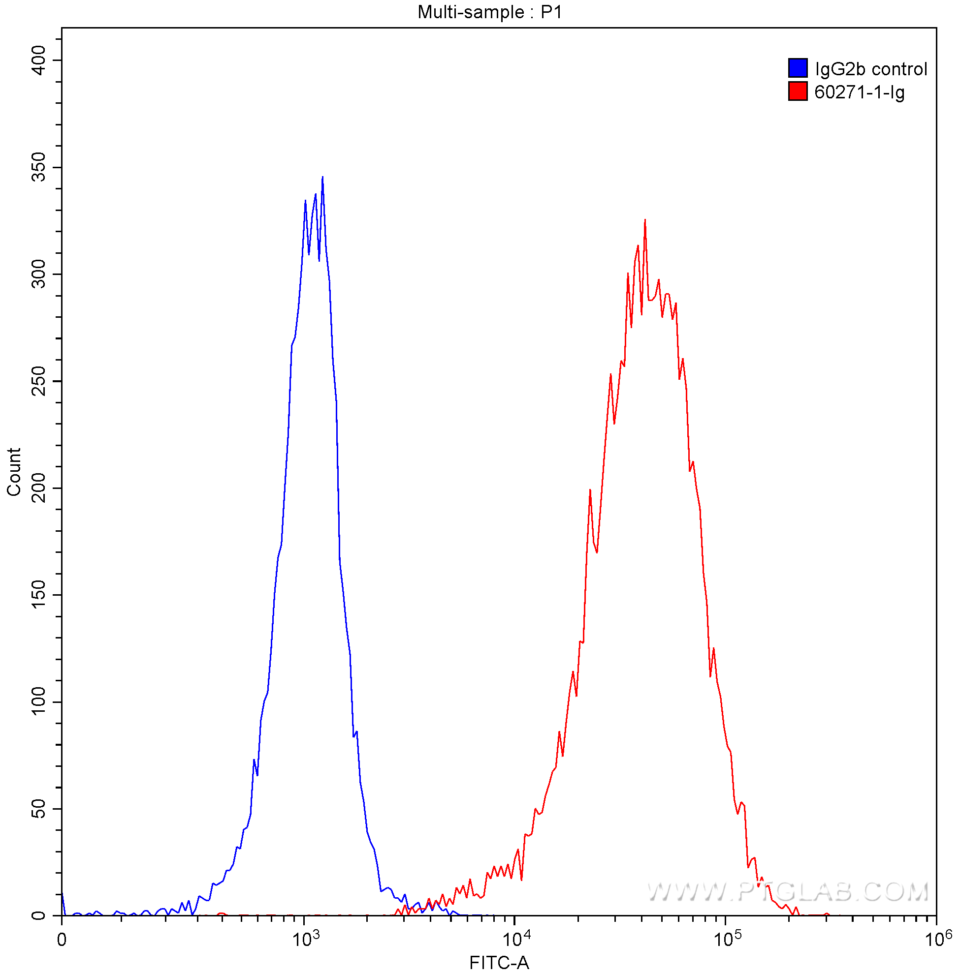 CD20 antibody (60271-1-Ig) | Proteintech | 武汉三鹰生物技术有限公司