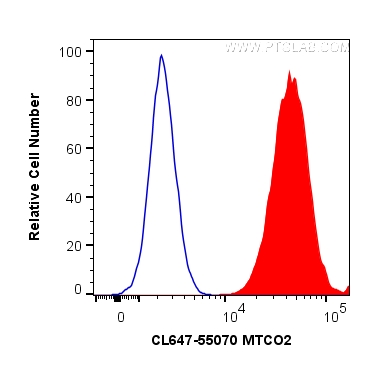 MTCO2 antibody (CL647-55070) | Proteintech | 武汉三鹰生物技术有限公司