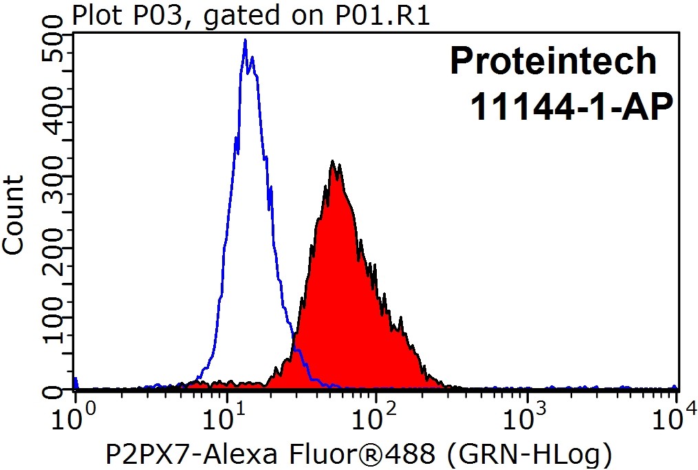P2RX4 antibody (13534-1-AP) | Proteintech | 武汉三鹰生物技术有限公司
