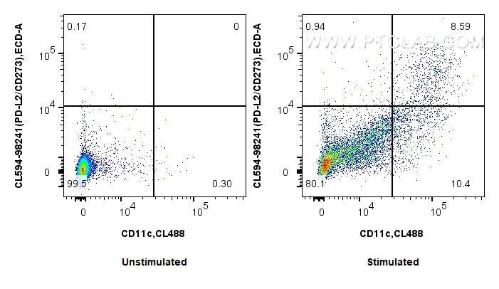 PD-L2/CD273 antibody (CL594-98241) | Proteintech | 武汉三鹰生物技术有限公司