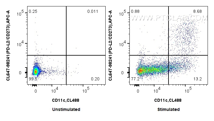 PD-L2/CD273 antibody (CL647-98241) | Proteintech | 武汉三鹰生物技术有限公司