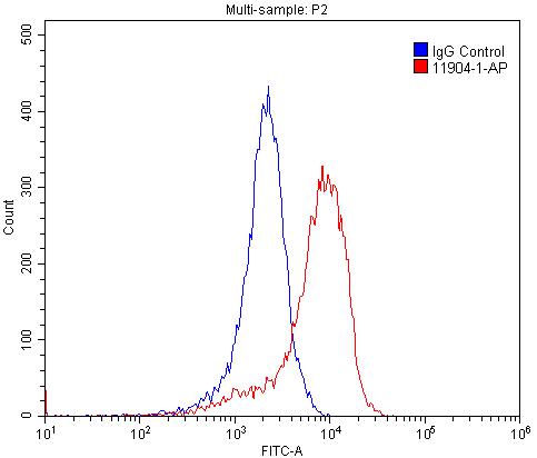 RGR antibody (11904-1-AP) | Proteintech | 武汉三鹰生物技术有限公司
