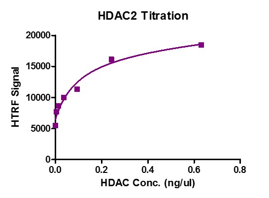 Recombinant HDAC2 protein | Proteintech | 武汉三鹰生物技术有限公司
